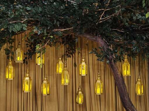 Backdrop Frame | EventRentals.lk